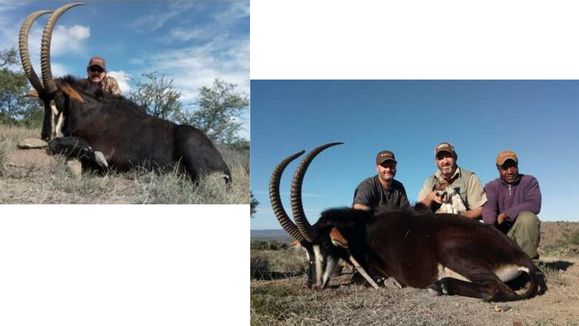 gamka-sable-2020 – Four Corners Chapter SCI
