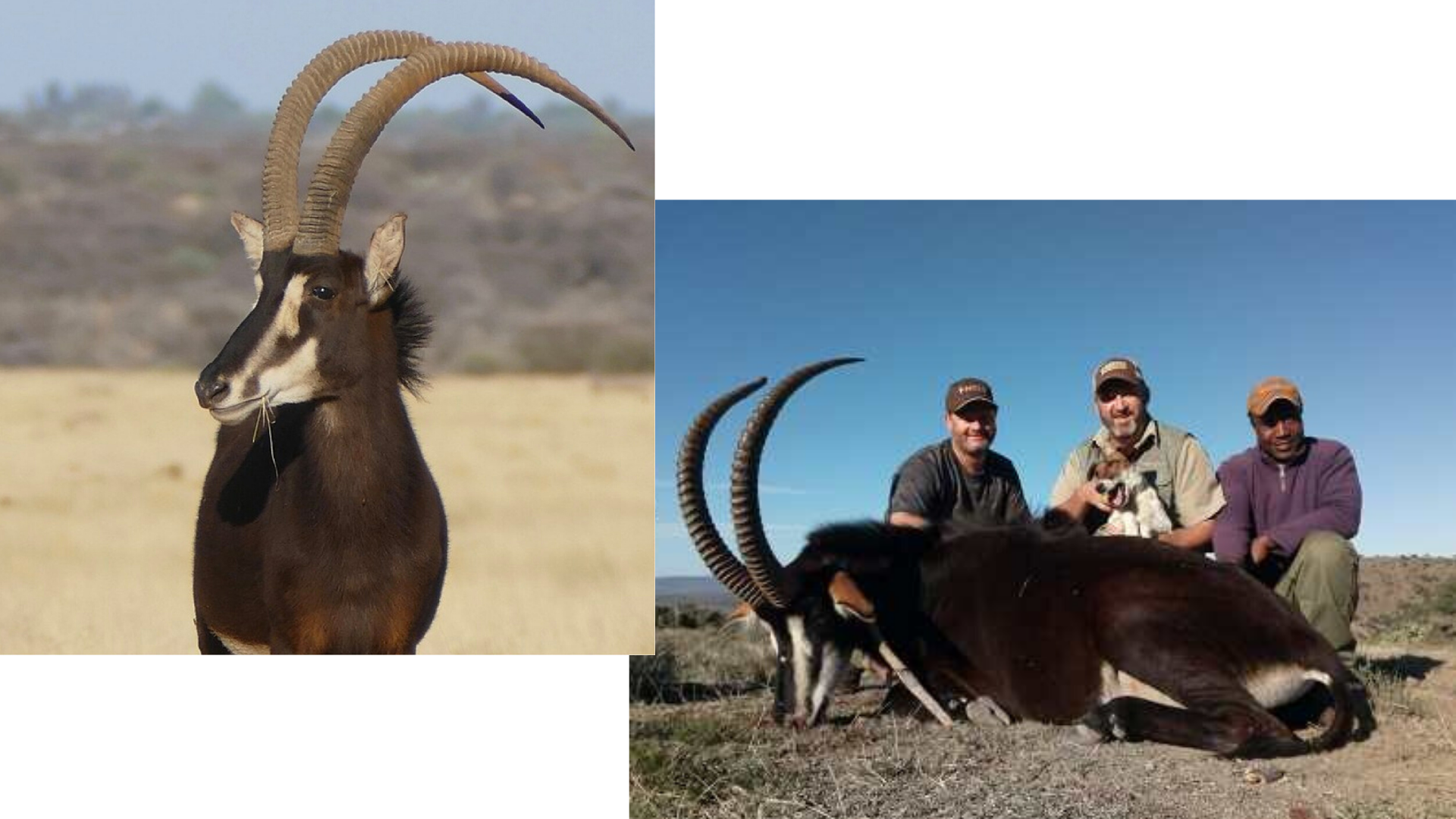 Hunt Groups – Four Corners Chapter SCI