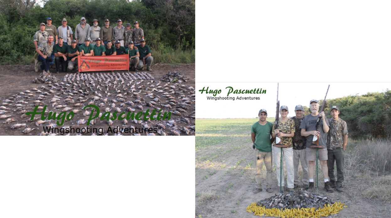 Hugo Dove Wingshooting – Four Corners Chapter SCI