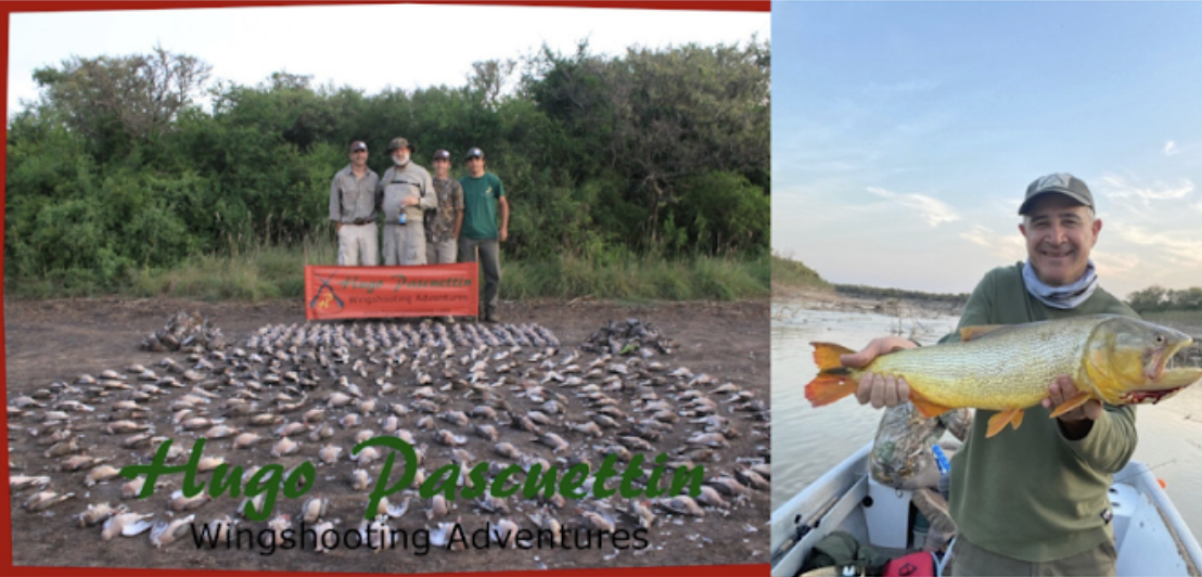Dove-Pigeon-Fish-HP-Wingshooting-Adventures-Argentina – Four Corners ...